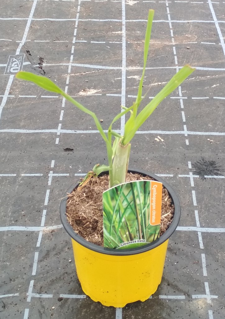 - Zahradní centrum "Strakovo" s.r.o.