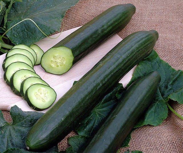 Okurka roubovaná salátovka, ORCA F1–partenokarpická - Zahradní centrum ...