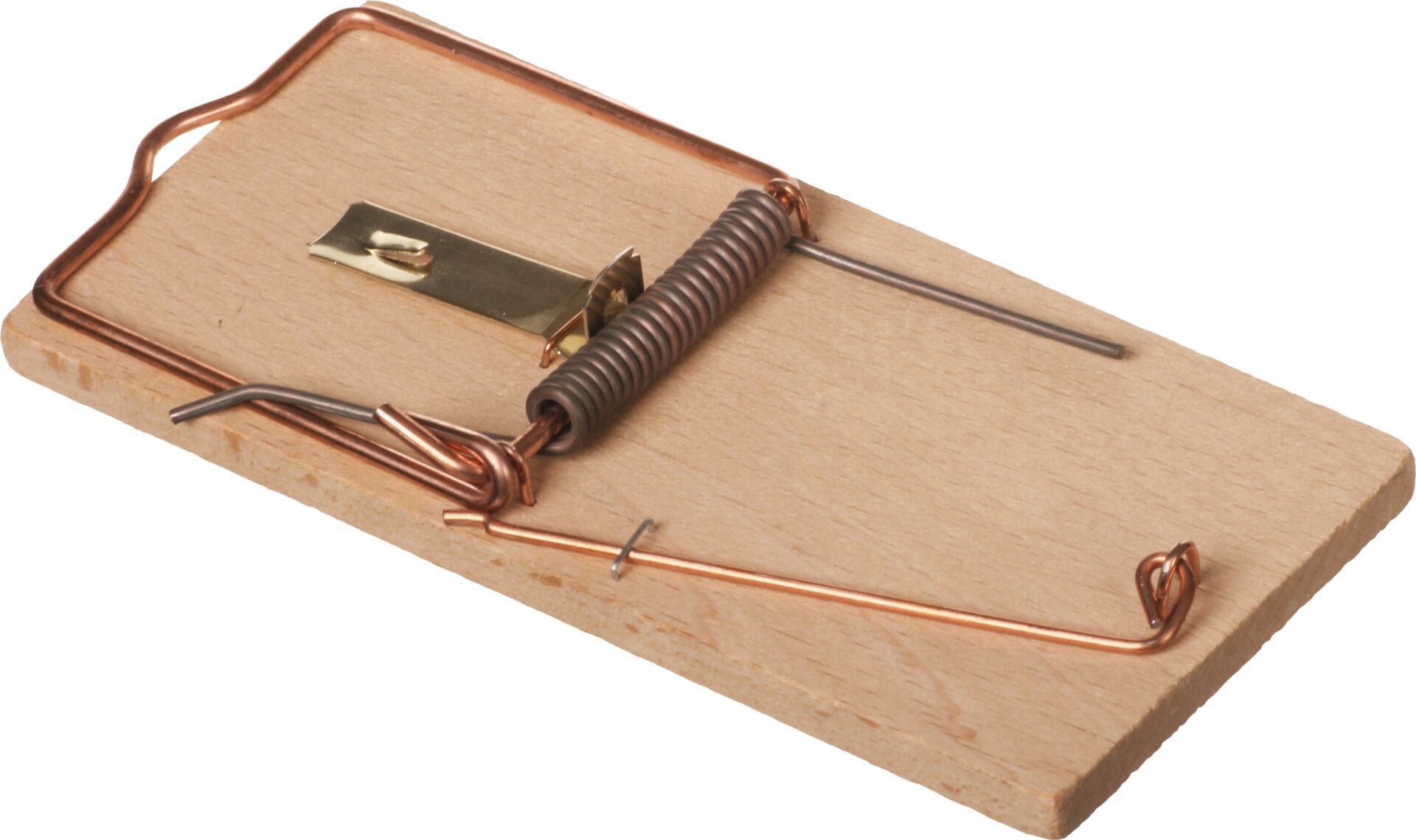 Pastička dřevěná - velká krysa - Zahradní centrum "Strakovo" s.r.o.